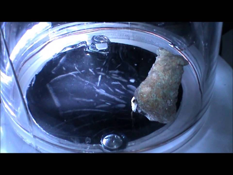 Build a cloud chamber | Rincón Educativo